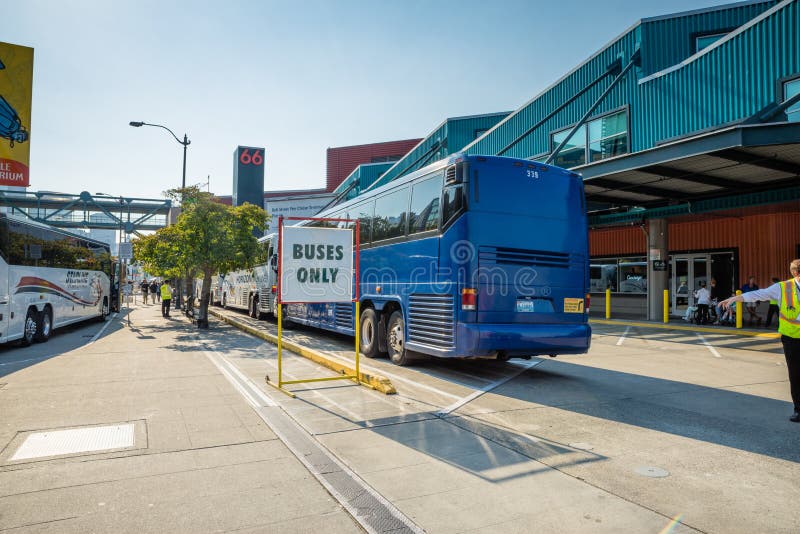 Sightseeing tour buses editorial image. Image of blue - 61636500