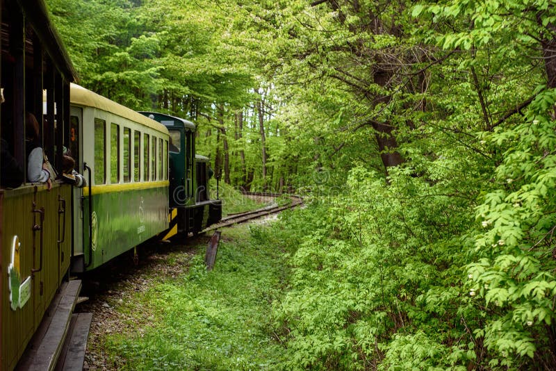 Sightseeing Train in Miskolc Stock Image - Image of green, nature ...