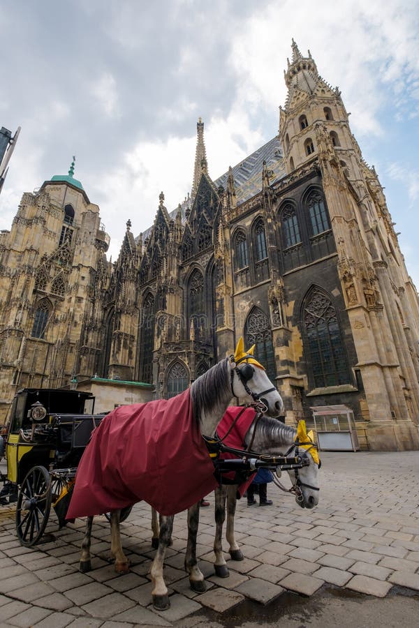 Sightseeing in Vienna editorial photo. Image of travel - 71431501