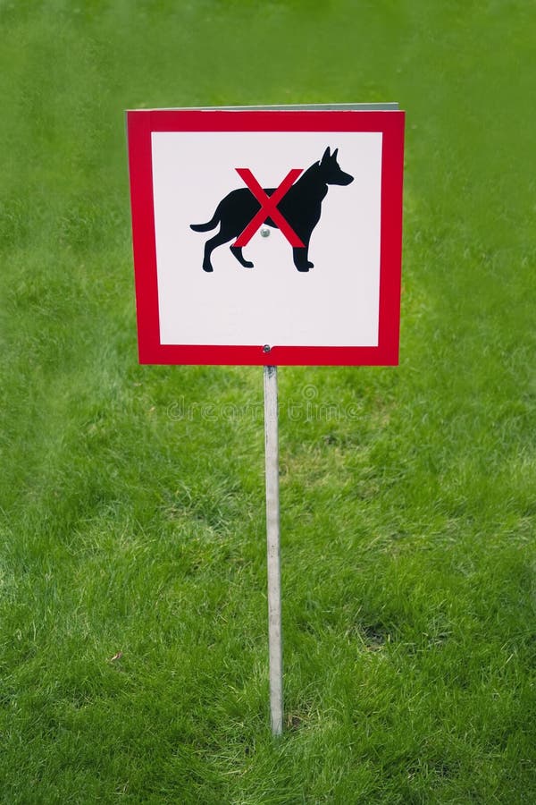 Stop Sign stock photo. Image of obey, traffic, sign, white - 311346