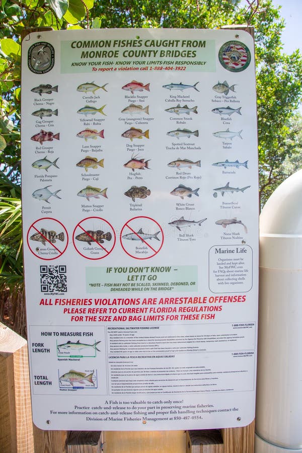 Sign with Allowed and Forbidden Fish Catches in Monroe County, Florida ...