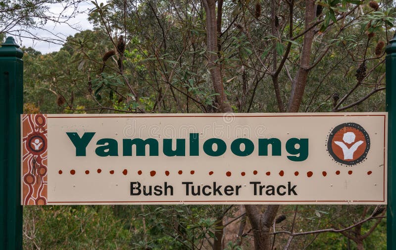 Awabakal People Stock Photos - Free & Royalty-Free Stock Photos from ...