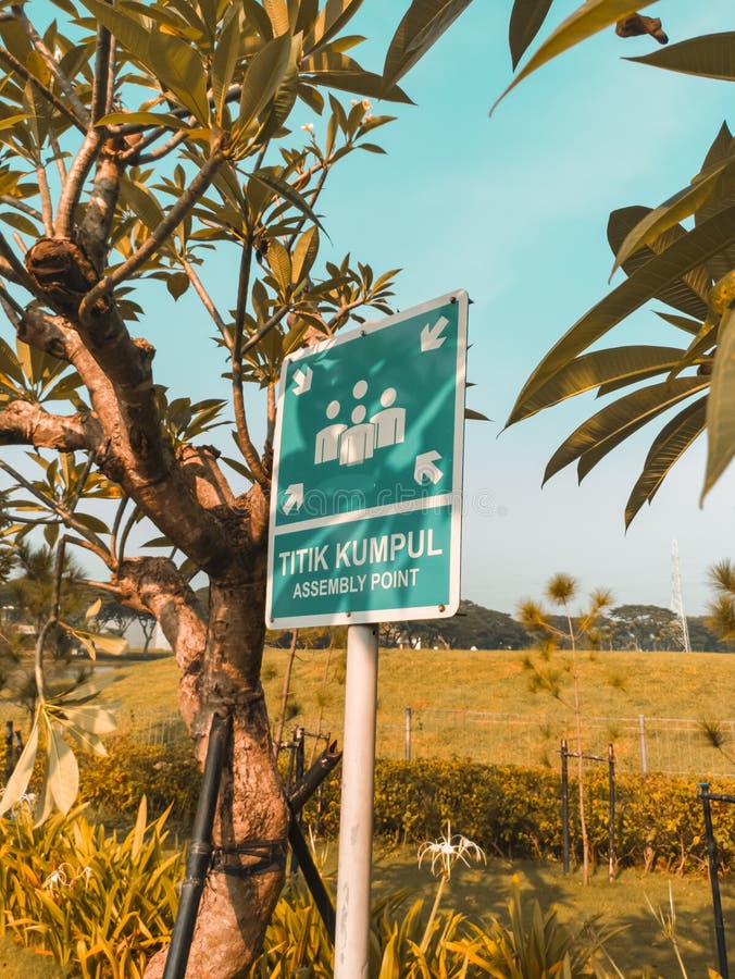 The sign of assembly point stock image. Image of yellow - 378971579