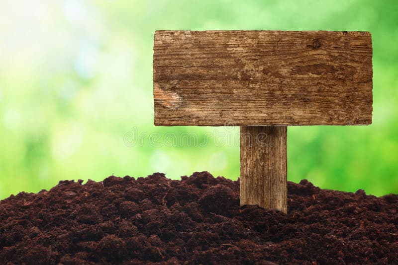 Sign board stock photo. Image of grass, nature, garden - 36828274