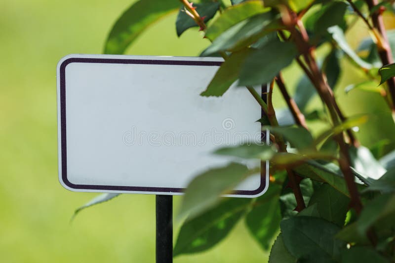 Sign Board for Plants in the Botanical Garden Stock Image - Image of ...