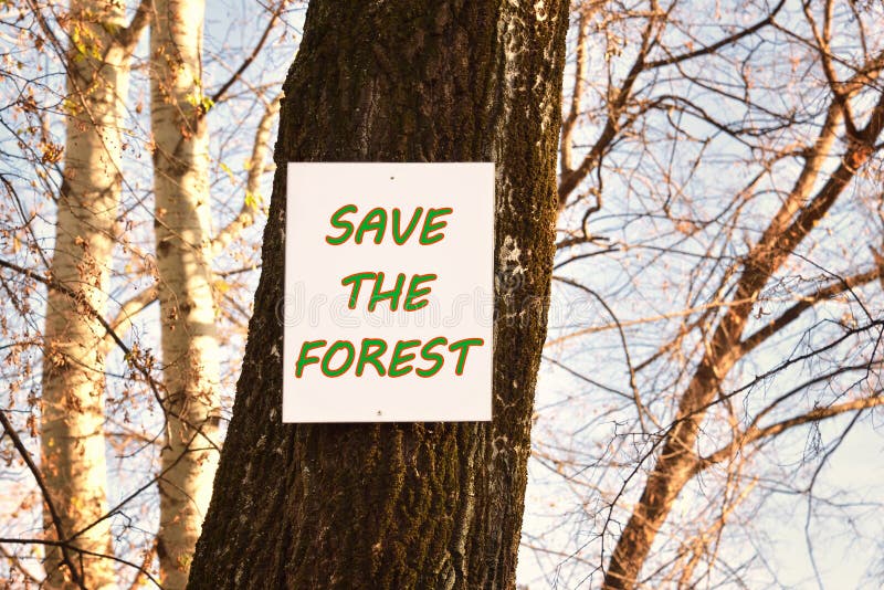 Sign Board on a Tree with Save the Forest Message Stock Image - Image ...
