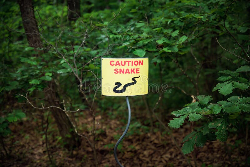 Sign Caution Snake in the Forest Stock Image - Image of grass ...