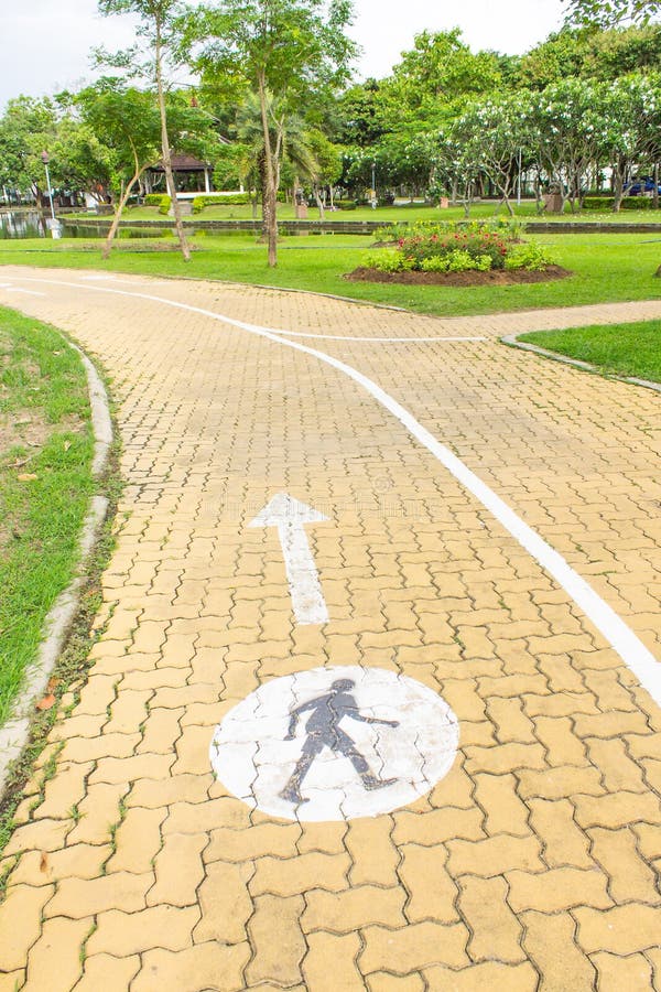 Sign for Cycling and Walking Stock Photo - Image of bicycle, sport ...