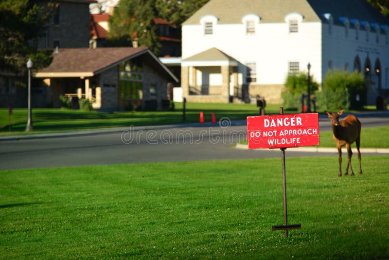 Sign, Danger Do Not Approach Wildlife Stock Photo - Image of wildlife ...