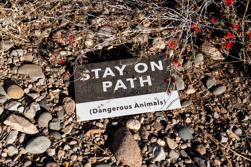 Stay on Path Dangerous Animals Stock Photo - Image of southwest, nature ...