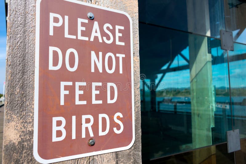 Do Not Feed Birds stock image. Image of sign, scene - 100485155 Do Not Feed Birds stock image. Image of sign, scene - 100485155