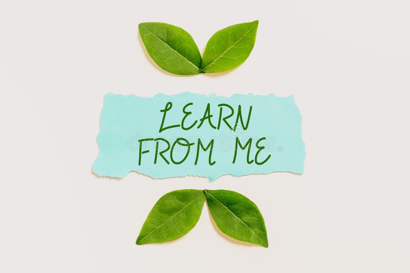 Writing Displaying Text Learn from Me. Business Overview Follow My Lead ... Writing Displaying Text Learn from Me. Business Overview Follow My Lead ...