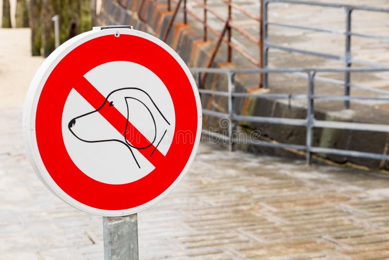 Sign that Dogs are Forbidden on this Path Stock Photo - Image of ...