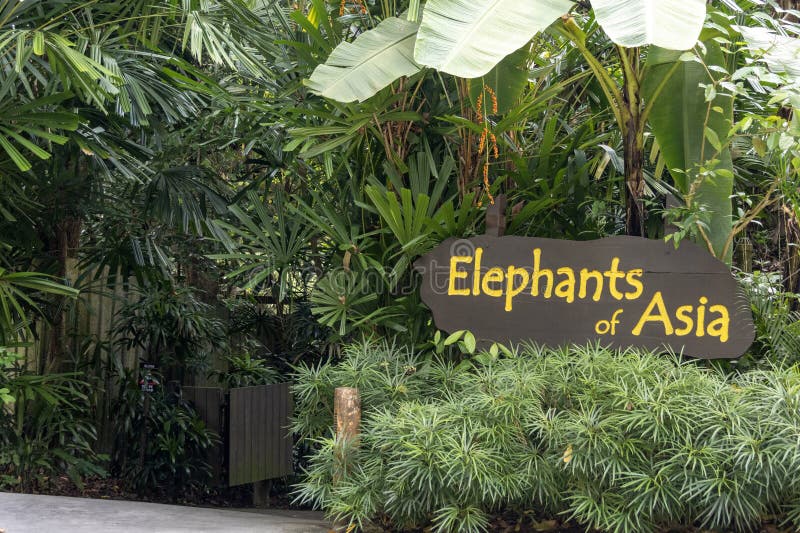 Sign of Elephant of Asia in Singapore Zoo Editorial Image - Image of ...