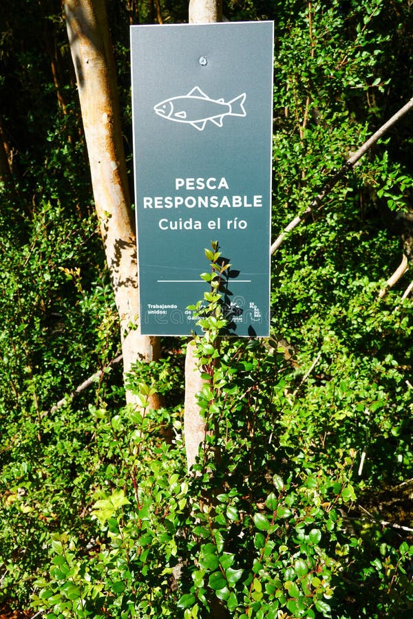 Sign stock image. Image of responsible, fish, sustainable - 275187561