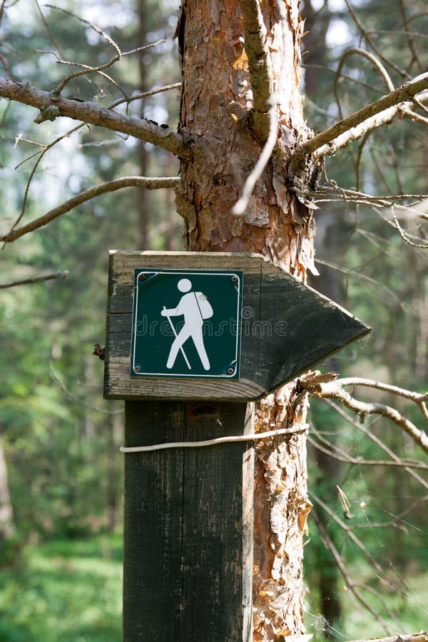Sign on a forest trail stock photo. Image of forest, woods - 20258726