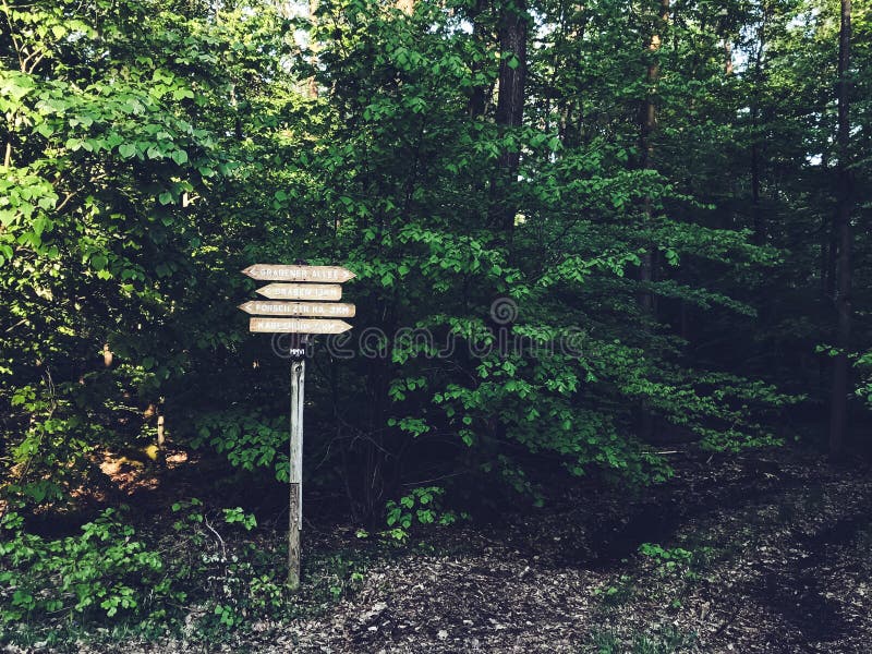 Sign with Four Arrows Pointing in Different Directions is Standing in a ...