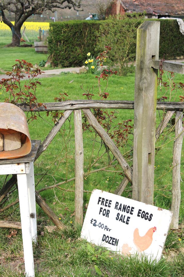 Sign for Free Range Eggs on Farm Stock Photo - Image of countryside ...