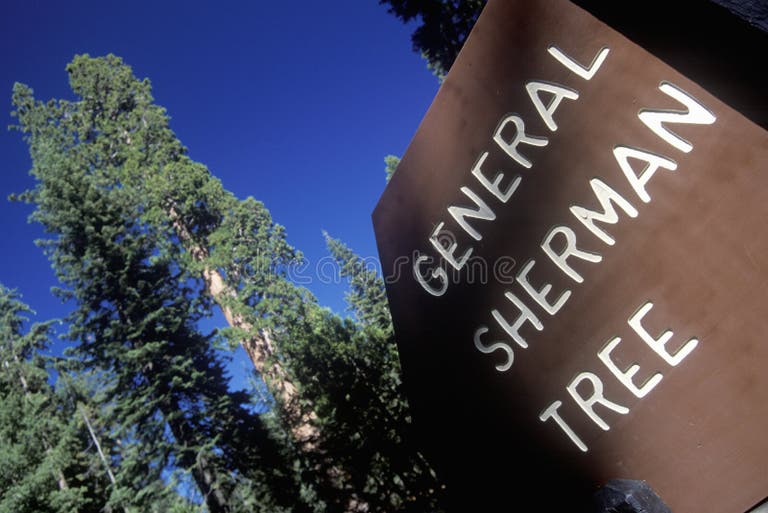 Sign for General Sherman Tree Stock Image - Image of north, public ...