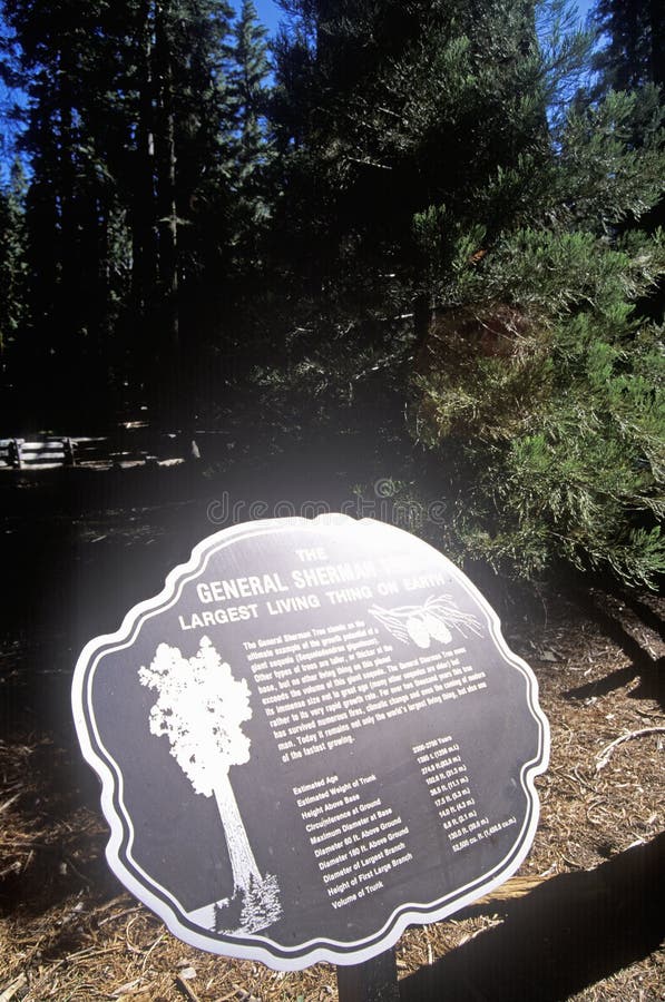 Sign for General Sherman Tree, Sequoia National Park, California ...