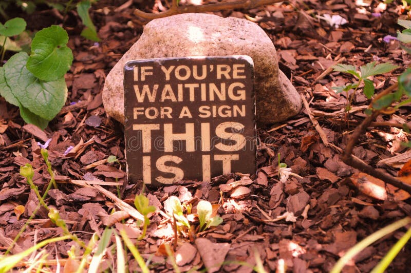 Marquee Lights Blank Sign stock image. Image of orchestra - 96763459