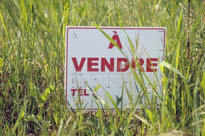 Sign Indicating that Land is for Sale Stock Image - Image of sign ...