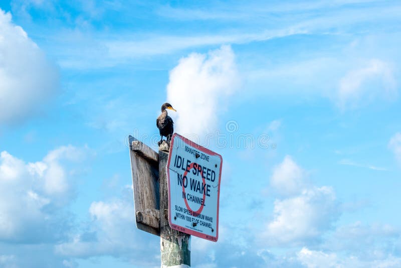 Speed Limit Signs Beach Stock Photos - Free & Royalty-Free Stock Photos ...