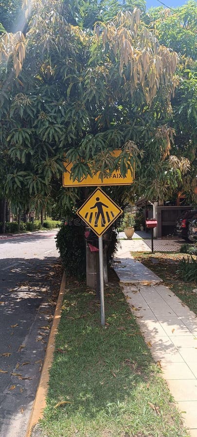 Sign Indicating a Pedestrian Crossing with Words Covered by the Leaves ...
