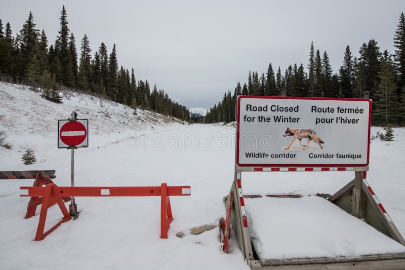 Sign Indicating Road Closure for Wildlife Stock Photo - Image of ...