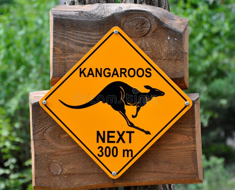 Sign of kangaroos stock photo. Image of leaf, kangaroo - 23721758