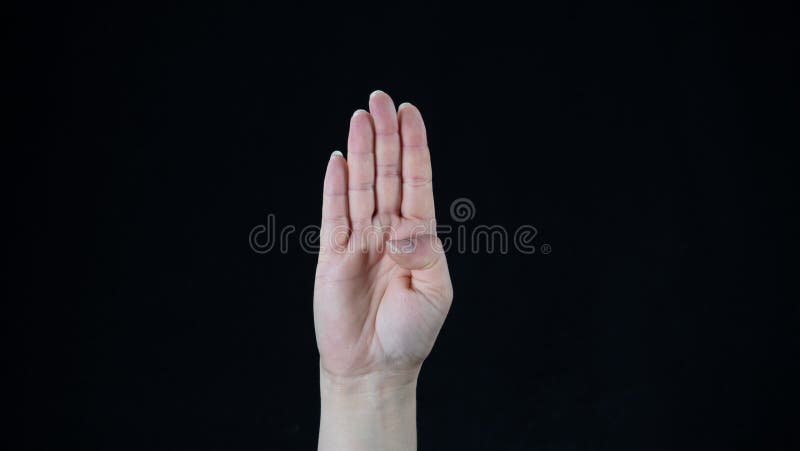 Gos Plan Photos - Free & Royalty-Free Stock Photos from Dreamstime