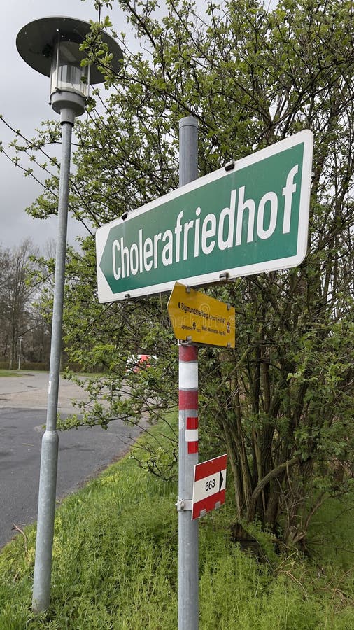 Sign stock image. Image of sign, bushes, green, tree - 275517997