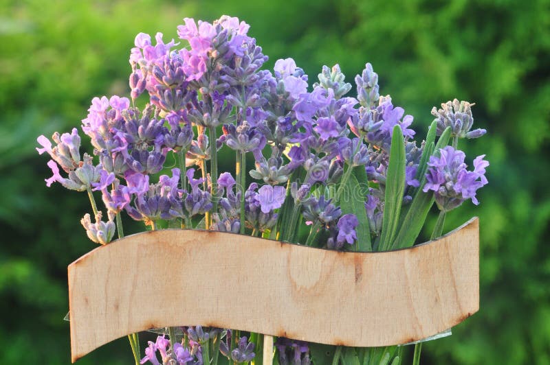 Open sign stock image. Image of village, rural, hanging - 1131069