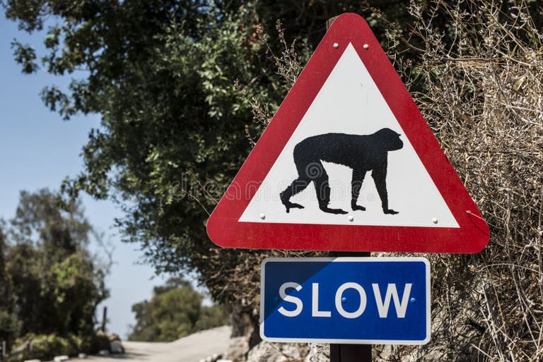 Monkey Crossing Sign Stock Photos - Free & Royalty-Free Stock Photos ...