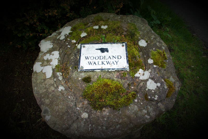 Sign on a Moss Covered Stone. Stock Photo - Image of pointing, woodland ...