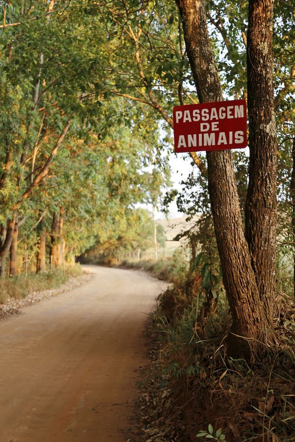 Sign passage of animals stock photo. Image of notice - 60998766
