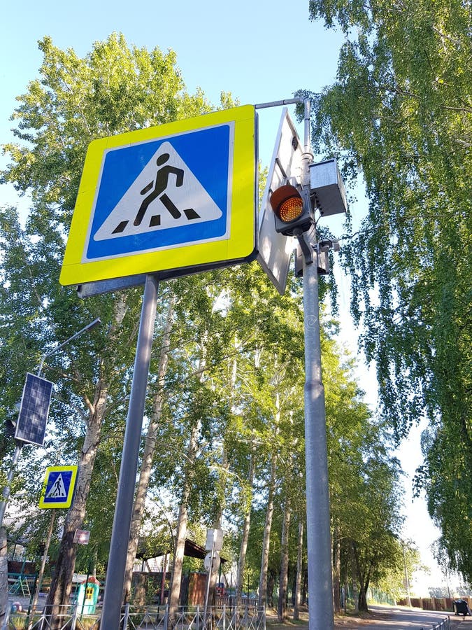 Pedestrian Crossing Sign among the Leaves of Trees Stock Image - Image ...