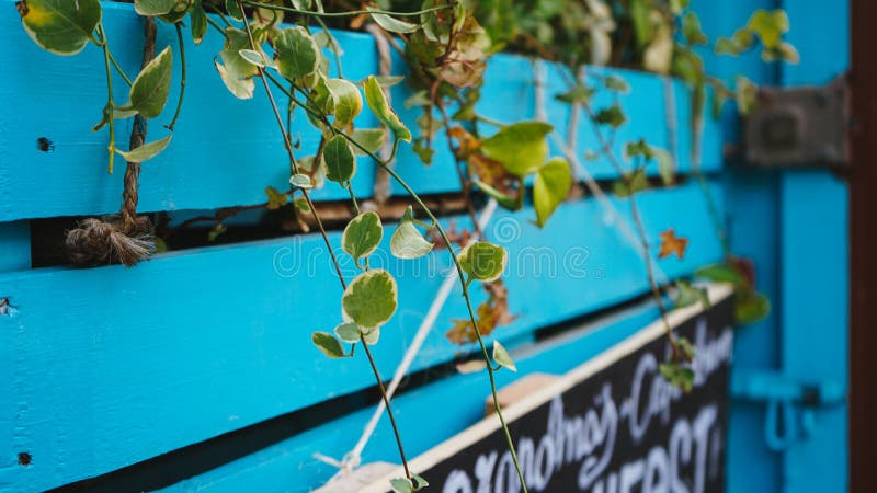 A sign with plants stock image. Image of desktop, sign - 88575901
