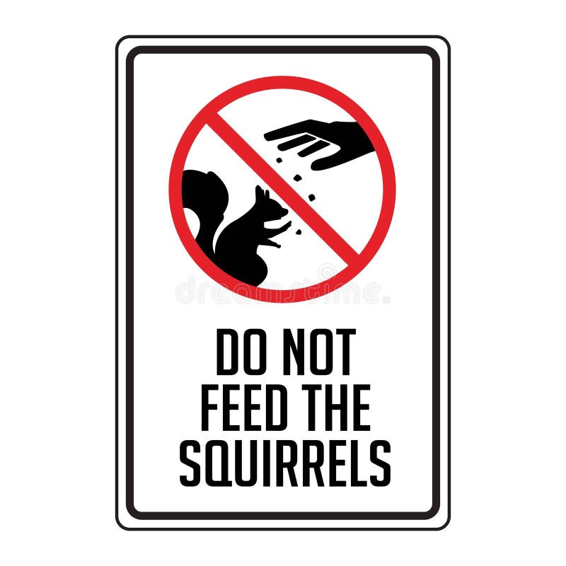 Sign Please Do Not Feed the Squirrel Stock Vector - Illustration of ...