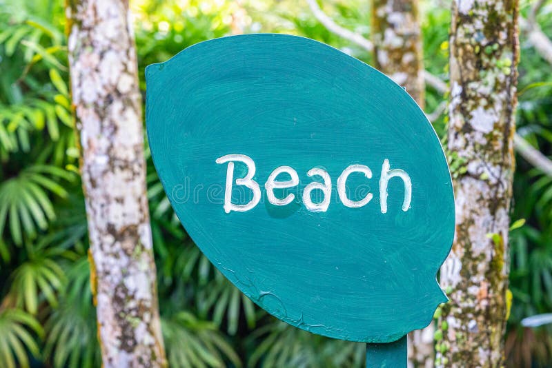 Sign Pointer Beach, Made of Wood, in the Form of a Leaf, Green ...