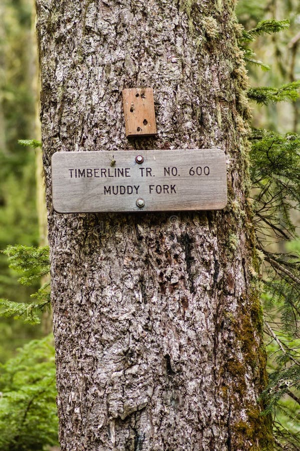 Sign Post for Trail 600 Muddy Fork Stock Photo - Image of sign, outdoor ...