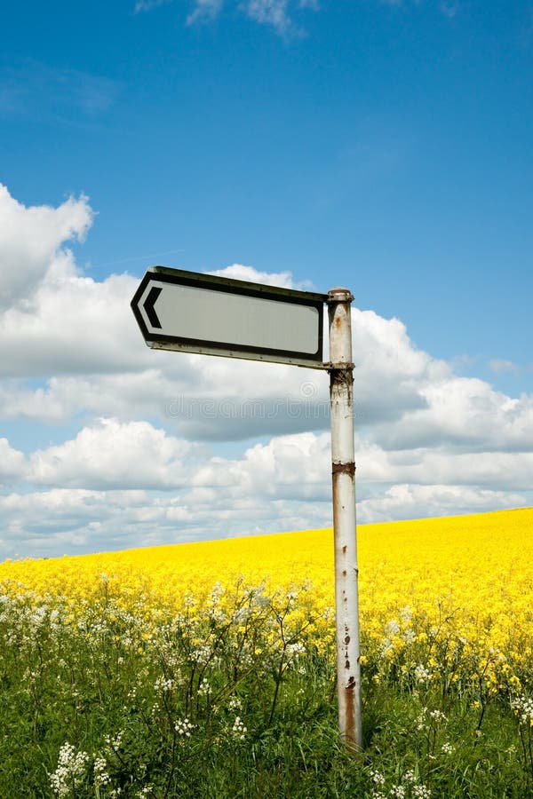 Sign on rapeseed field stock photo. Image of blue, oilseed - 9374450