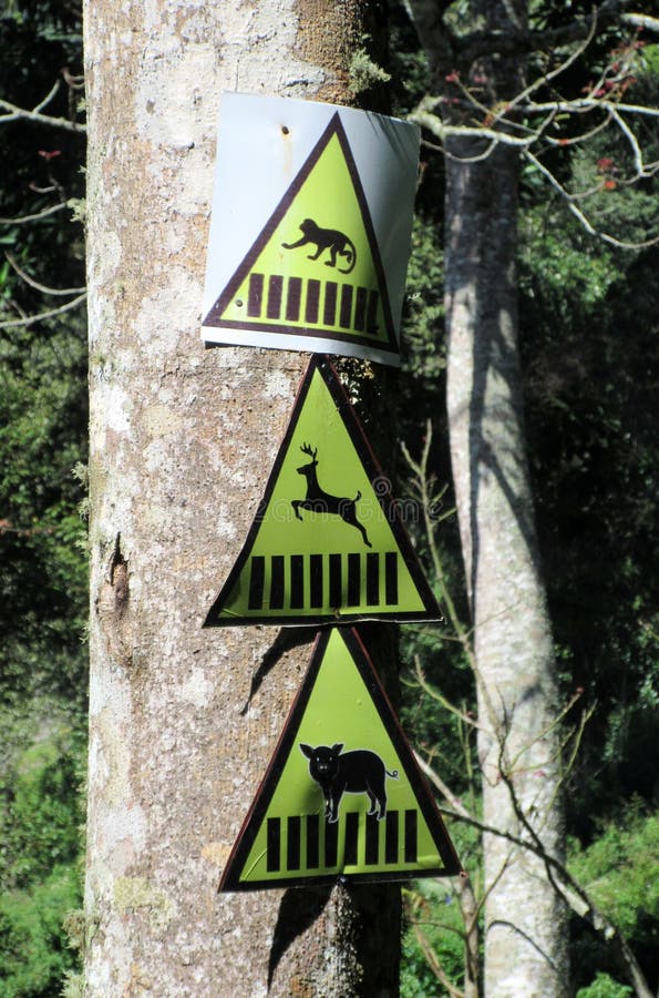 Monkey Crossing Sign Stock Photos - Free & Royalty-Free Stock Photos ...