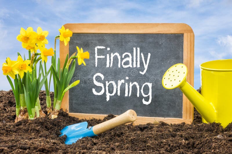 Finally stock photo. Image of diversity, ethnic, handsome - 844276