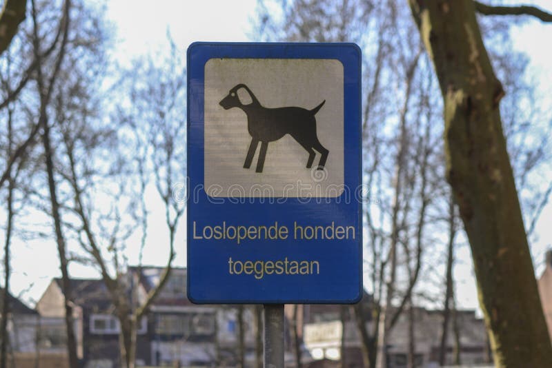 Sign with Text Stray Dogs are Allowed Editorial Photo - Image of puppy ...