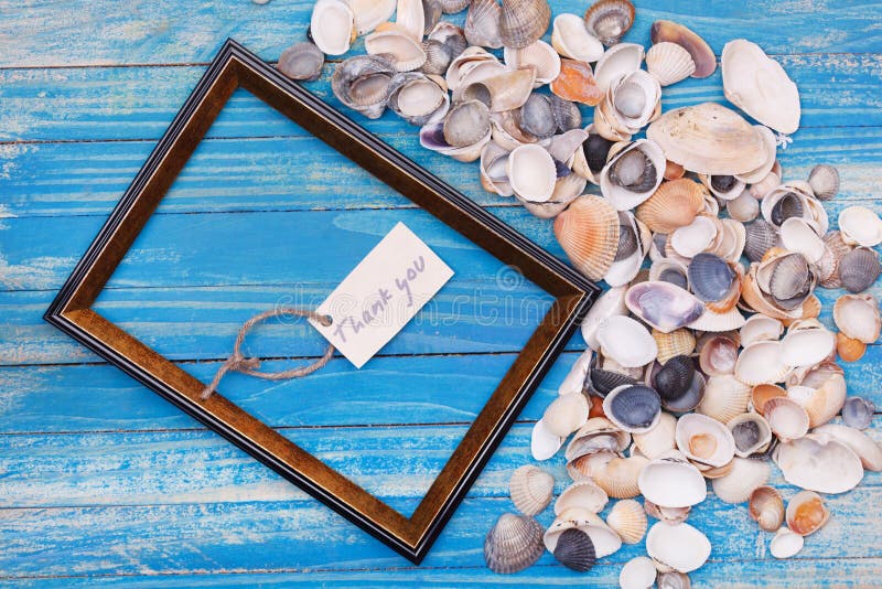 Thank You Card Sea Shells Stock Photos - Free & Royalty-Free Stock ...