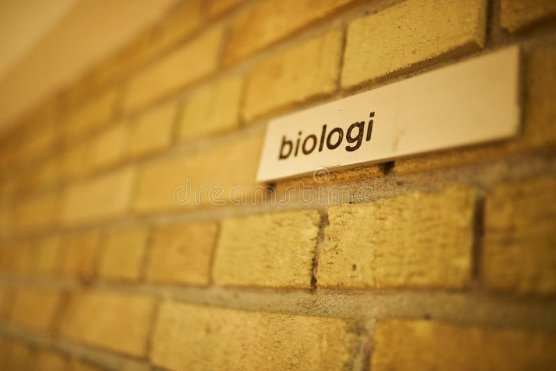 Sign To Biology Class at a School Stock Photo - Image of hall, colorful ...
