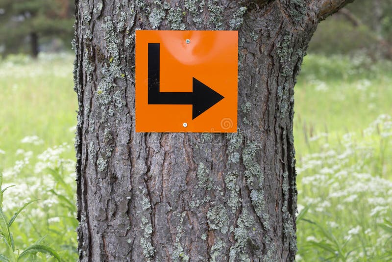 Sign on a tree stock photo. Image of plants, rough, screws - 56325674