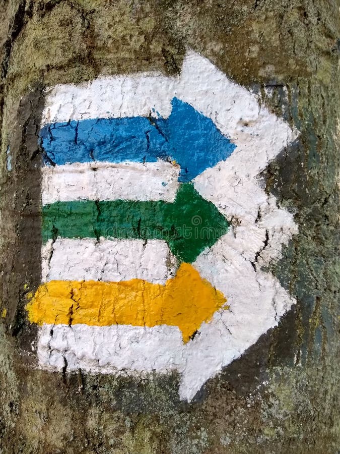 Sign on the tree stock image. Image of sign, foresr - 159780207