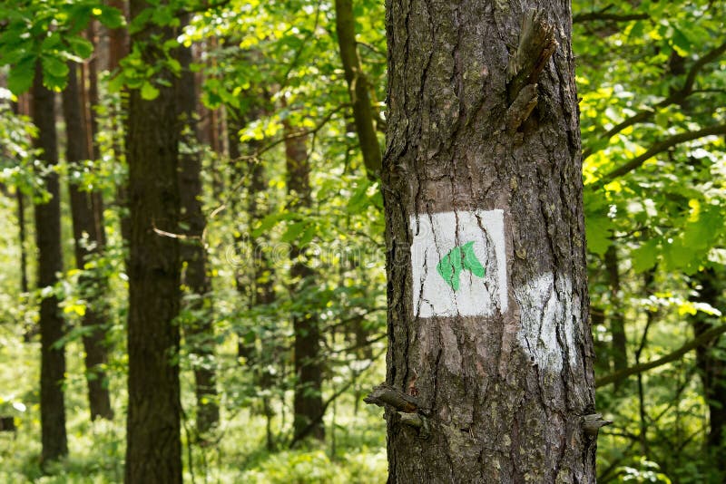 Sign on the tree stock image. Image of ecosystem, nature - 55507949